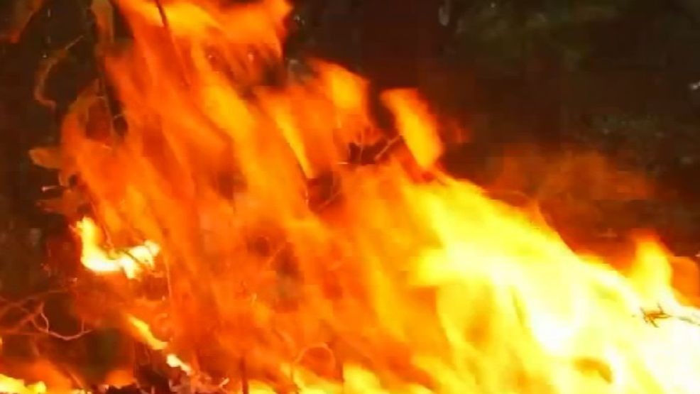 One person found dead in Macon County structure fire, officials say