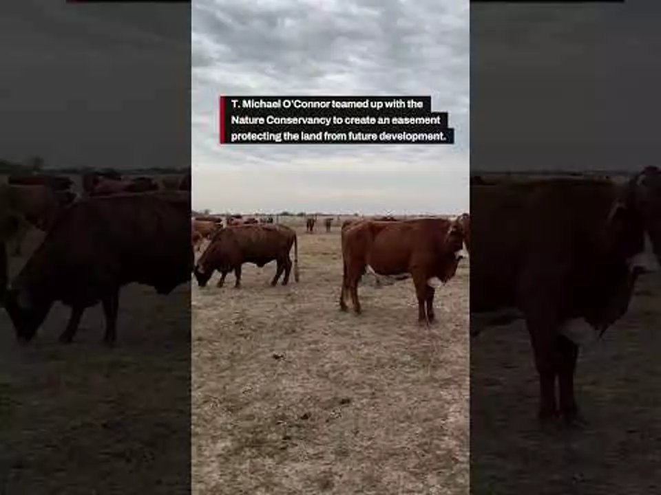 How a rancher and a nonprofit teamed up to protect Texas prairie land