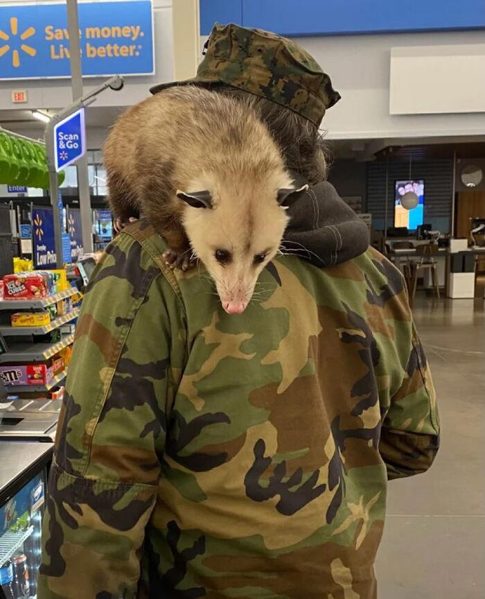 27 of the most chaotic things seen on “People of Walmart”