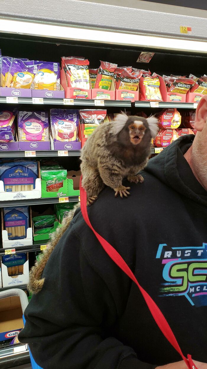 27 of the most chaotic things seen on “People of Walmart”