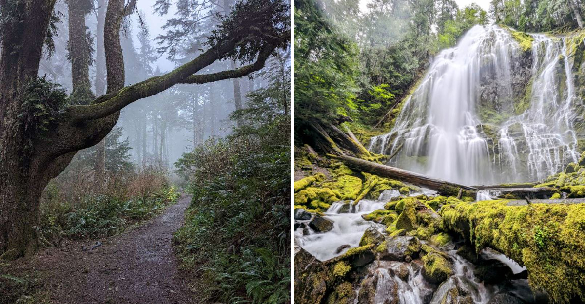 These 10 Oregon hikes only locals really know about