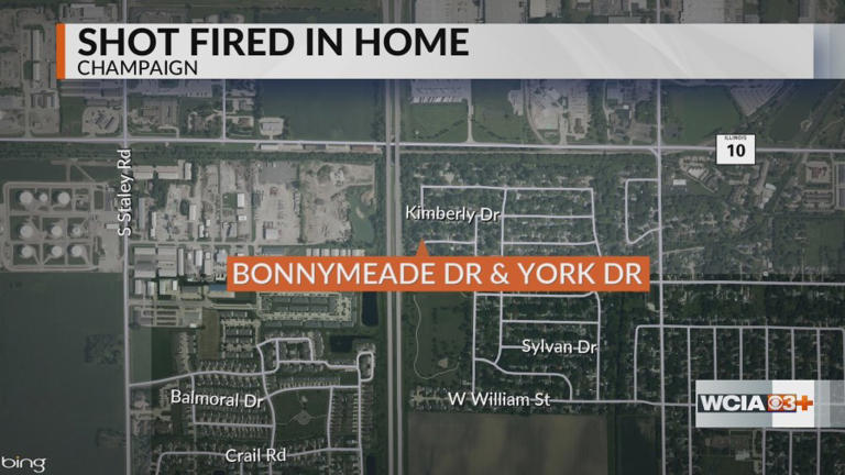 Champaign man arrested after allegedly firing gun during argument