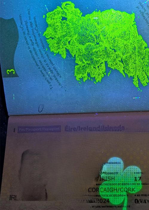 Social media user reveals little-known feature of Irish passport