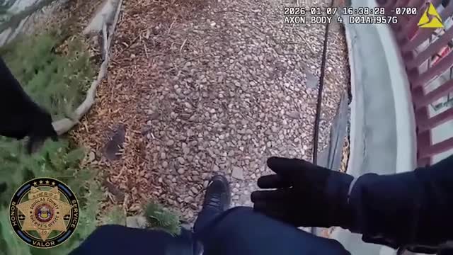 Colorado deputy manages to catch runaway chickens