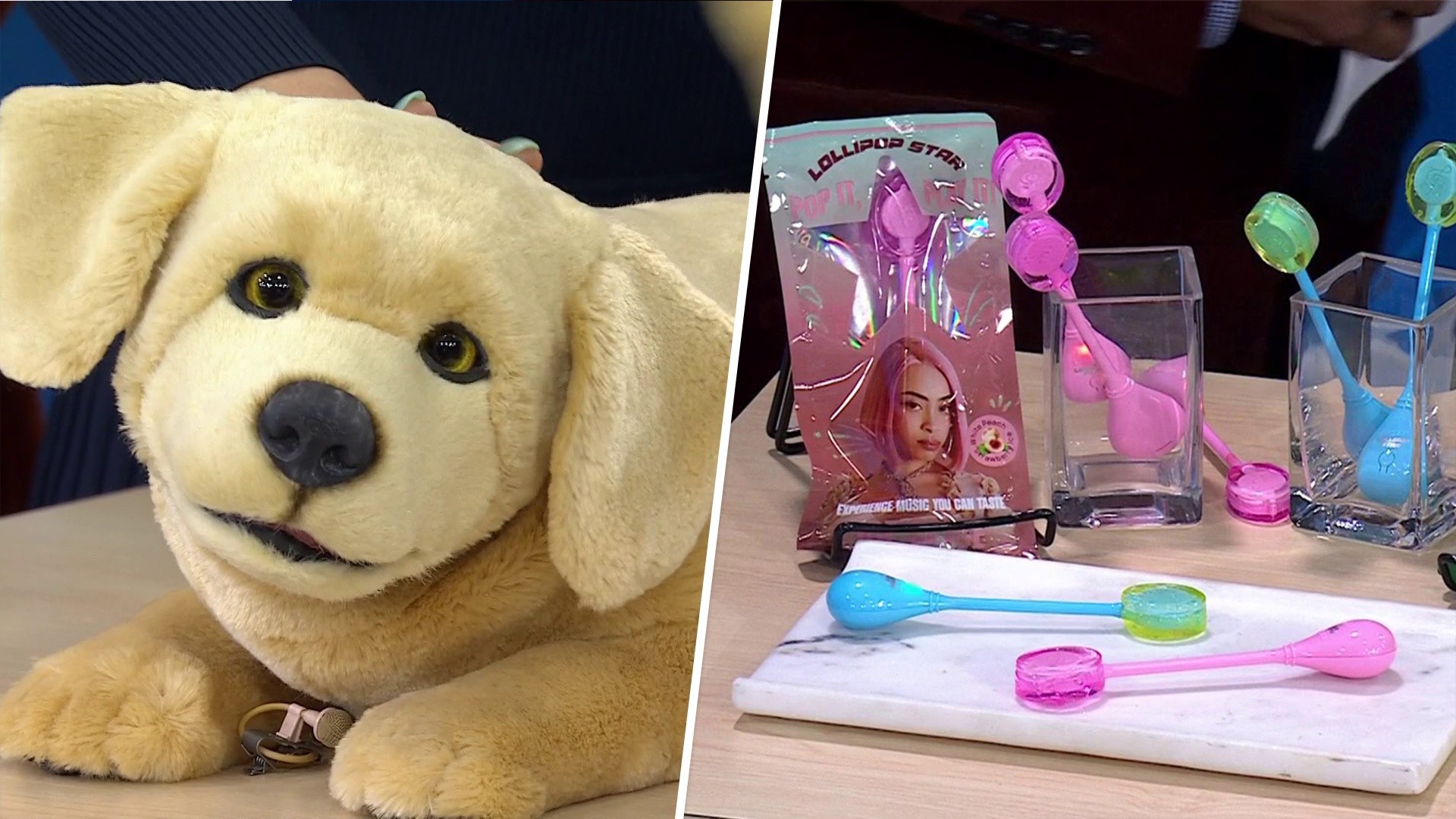 Robotic dog, audio lollipops and more favorites from CES 2026