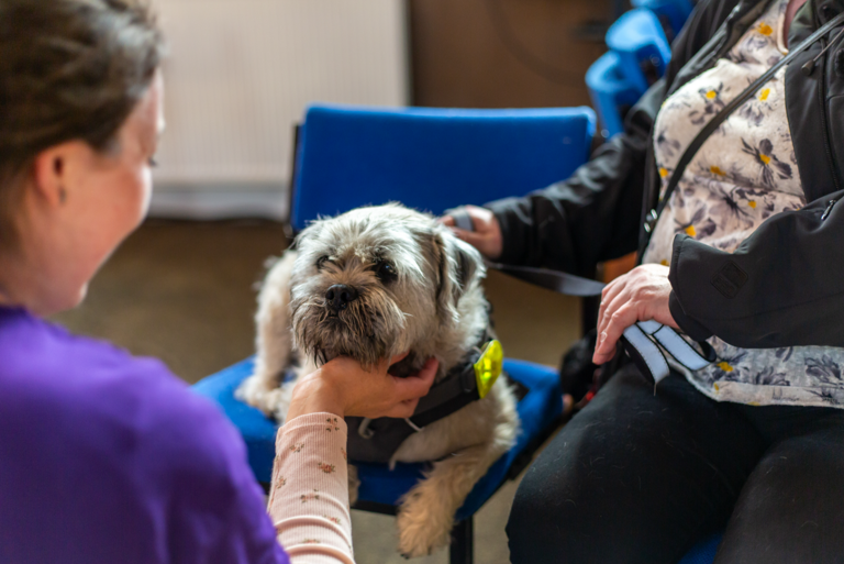 National animal charity records another busy year