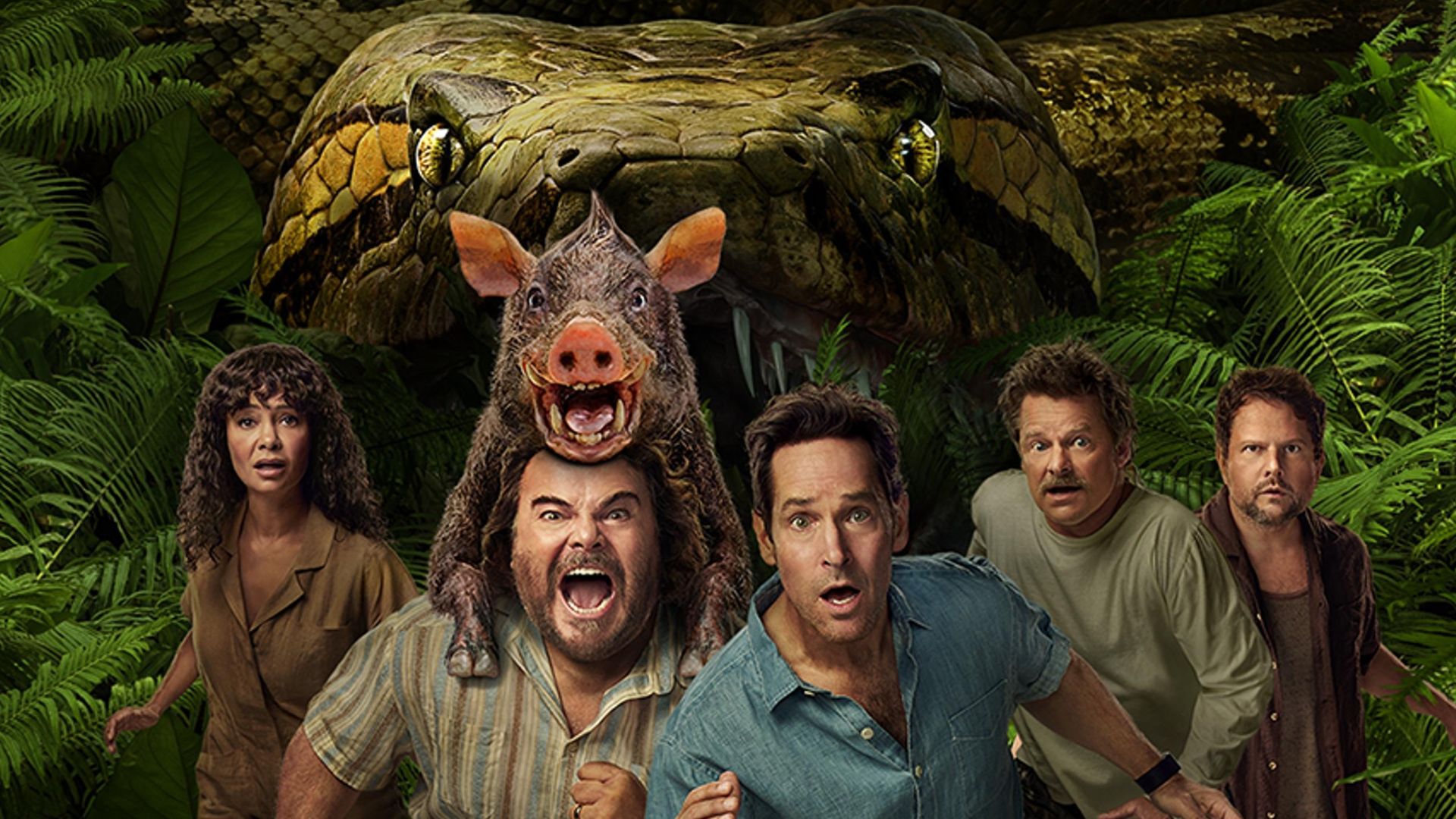 Anaconda : le remake nul avec Jack Black fonctionne bien au box-office ...