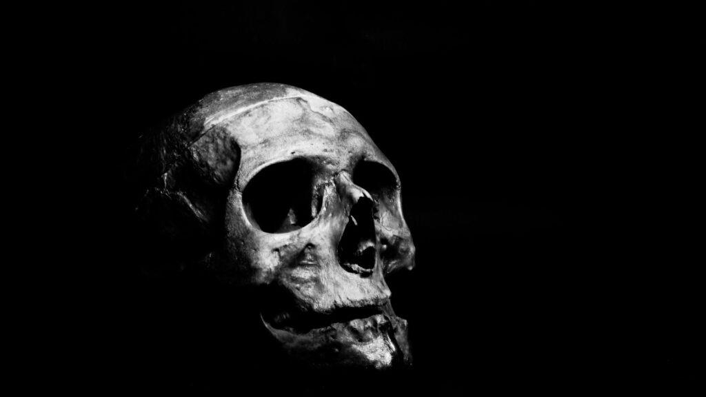 Scientists warn Earth is entering a sixth mass extinction