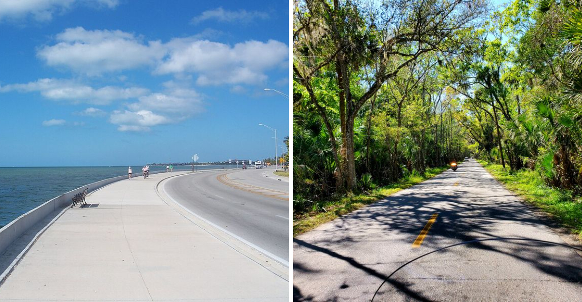 The most scenic drives in Florida beyond the Overseas Highway