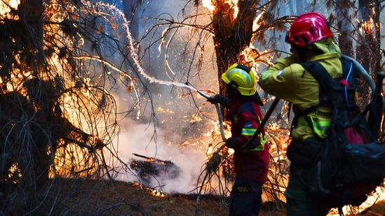 Argentina wildfires: Firefighters battle flames as blaze rips through ...