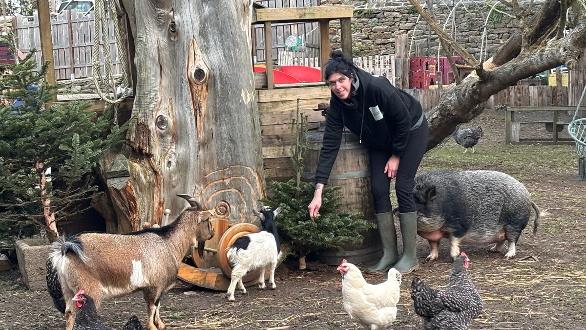 « Nos cochons ont des couvertures chauffantes » : à Concarneau, la ...