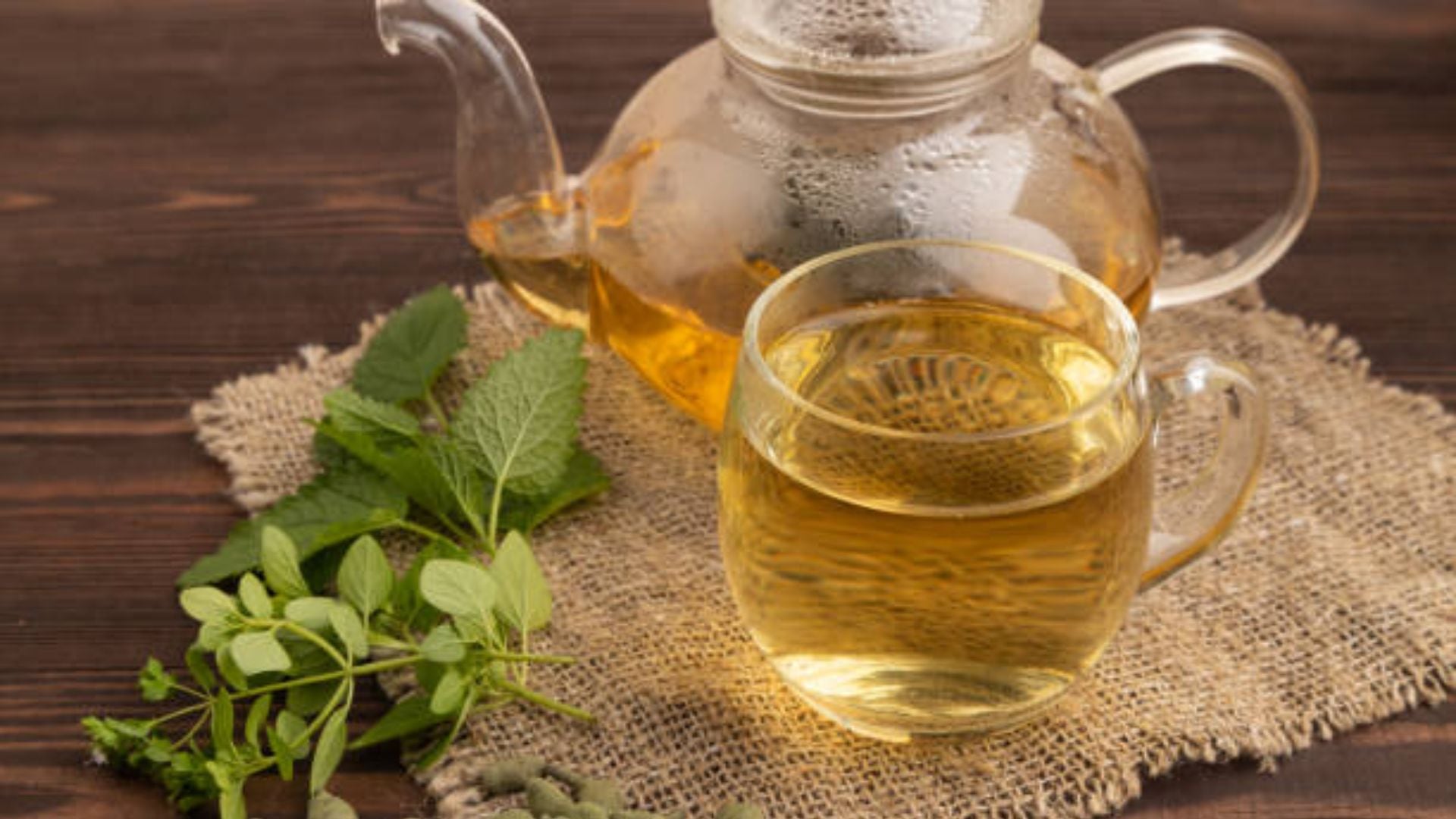 Para qué sirve el té de boldo, el secreto natural para la salud intestinal