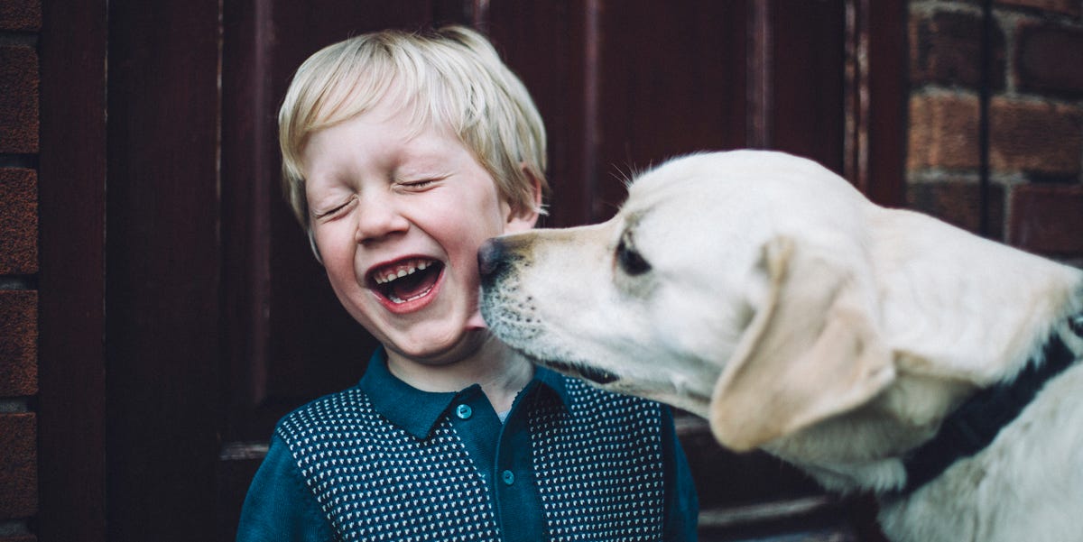 6 things kids should learn before getting a pet