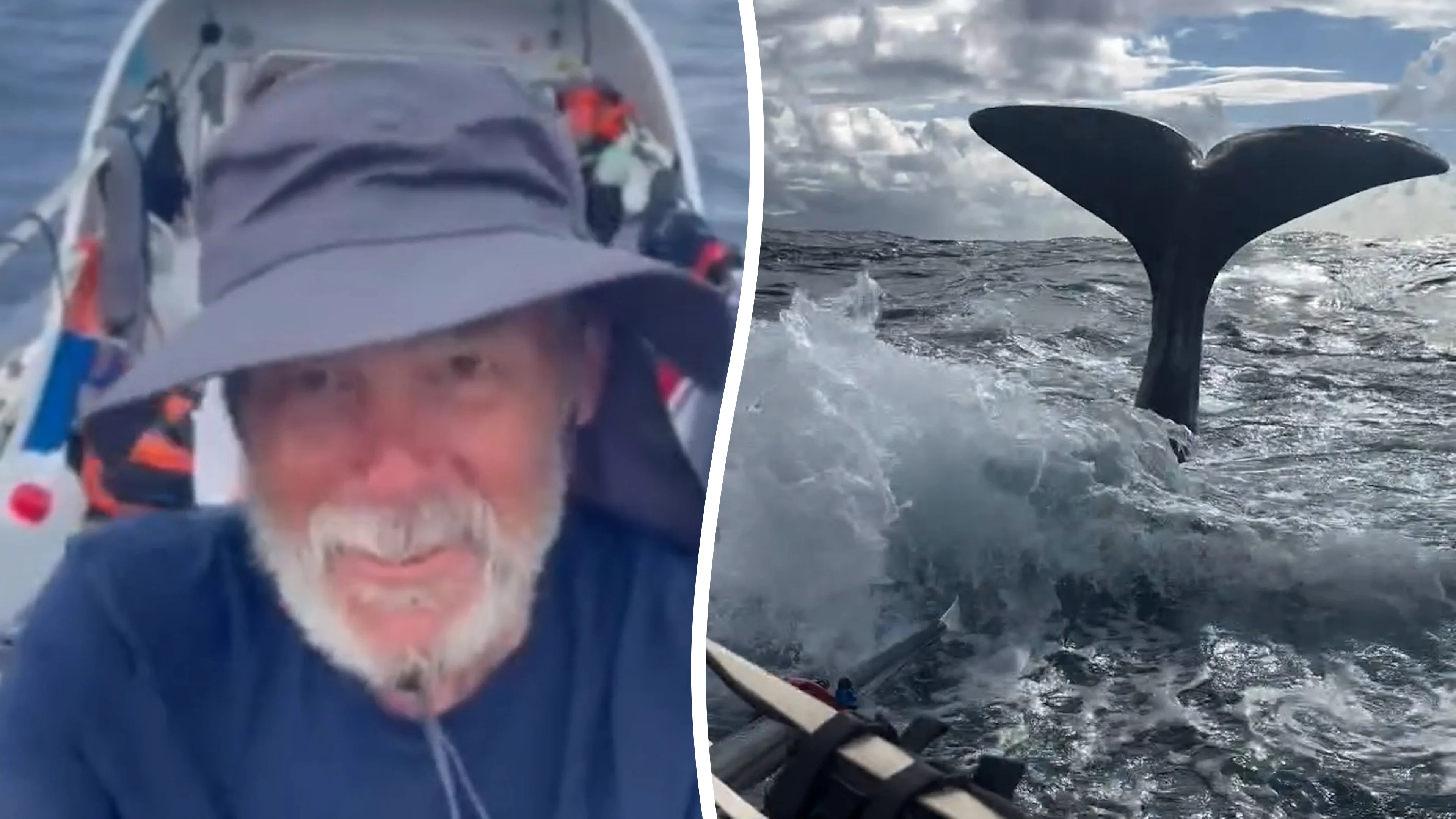 Team of rowers' epic encounter with whale in the Atlantic