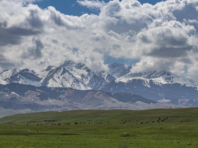 Elli Unruhe: „Fische im Trüben“ – Ein paar Scheiben vom Berg als Brot ...