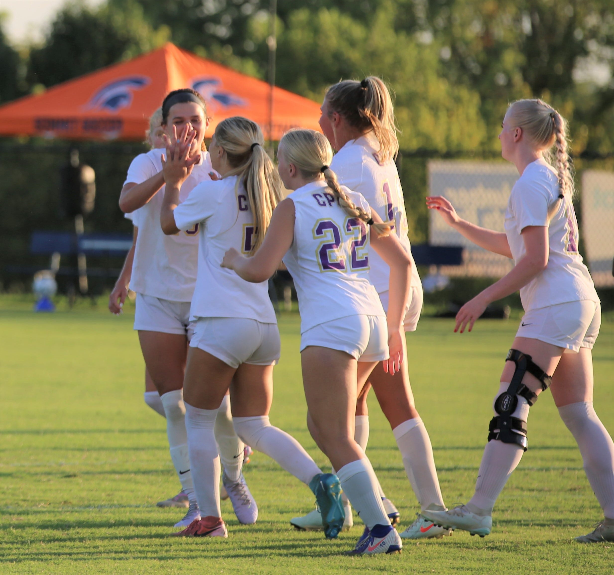 Meet the TSWA 2025 Tennessee high school all-state girls soccer teams