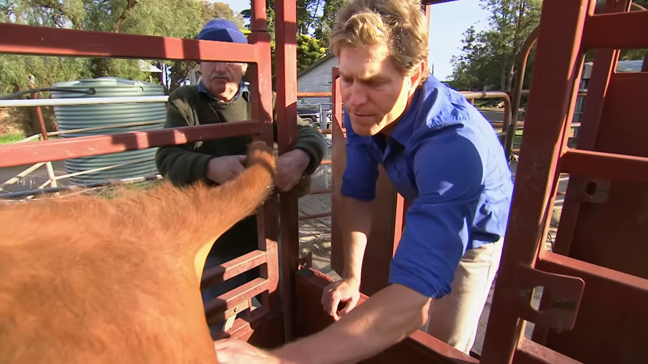 She's still alive... the words after a desperate attempt to save the ...