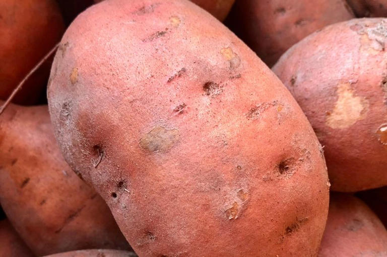 Giant potato wedged in bloke's bum leaves doctors baffled