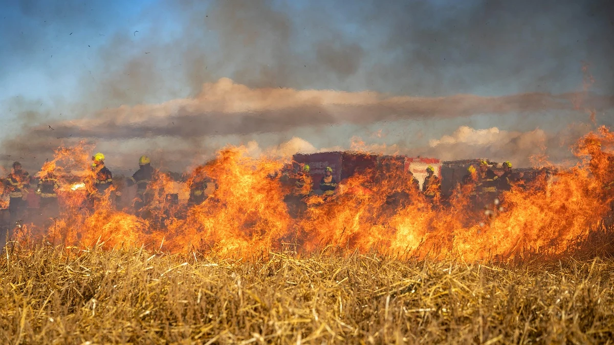 La combinación de calor extremo y vegetación lista para arder disparó ...