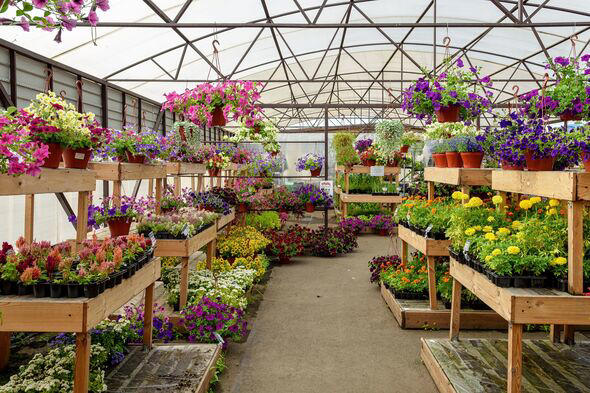 Dobbies closed 8 garden centres across UK in one year - the 76 still open