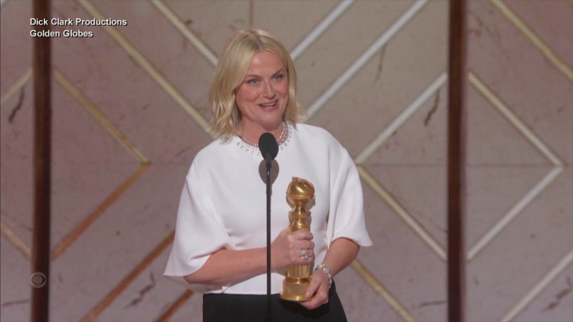 Timothée Chalamet, Amy Poehler among 2026 Golden Globe Awards winners