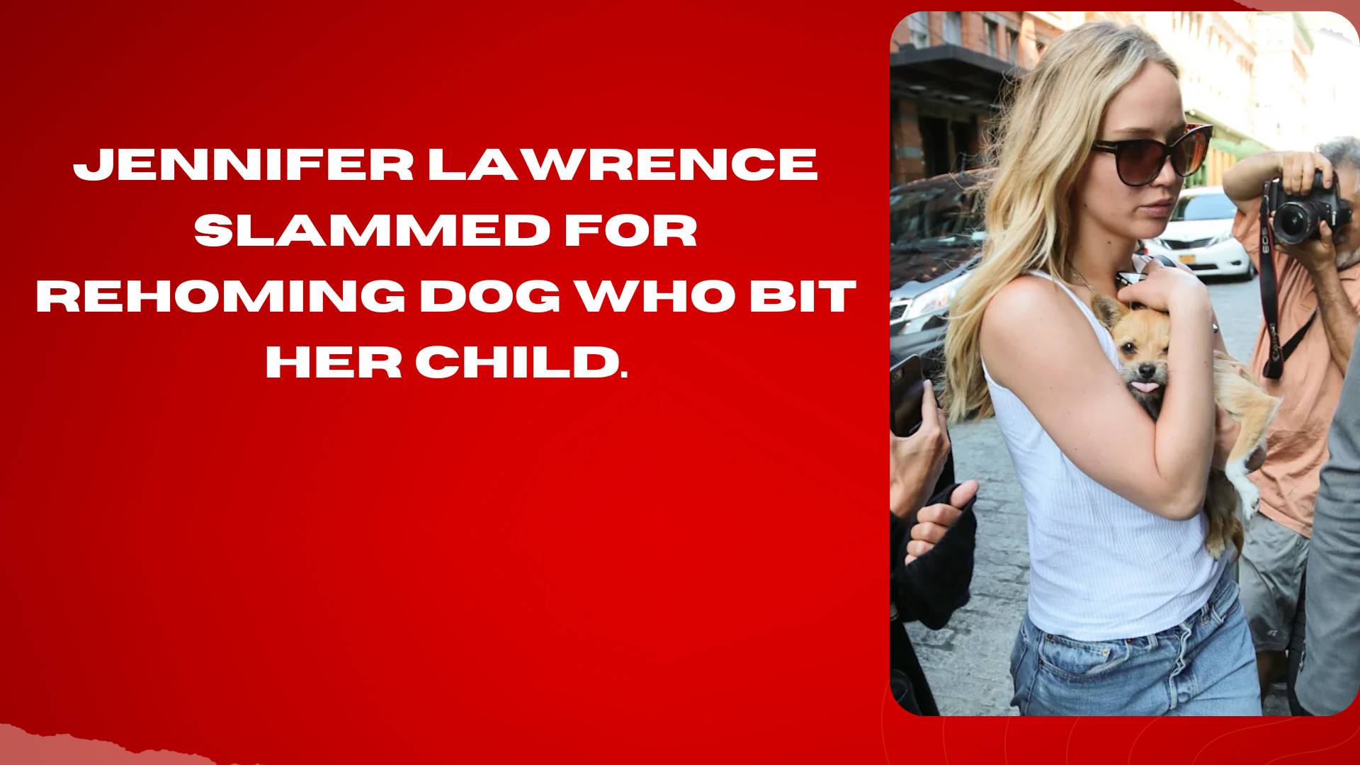 Jennifer Lawrence slammed for rehoming dog who bit her child