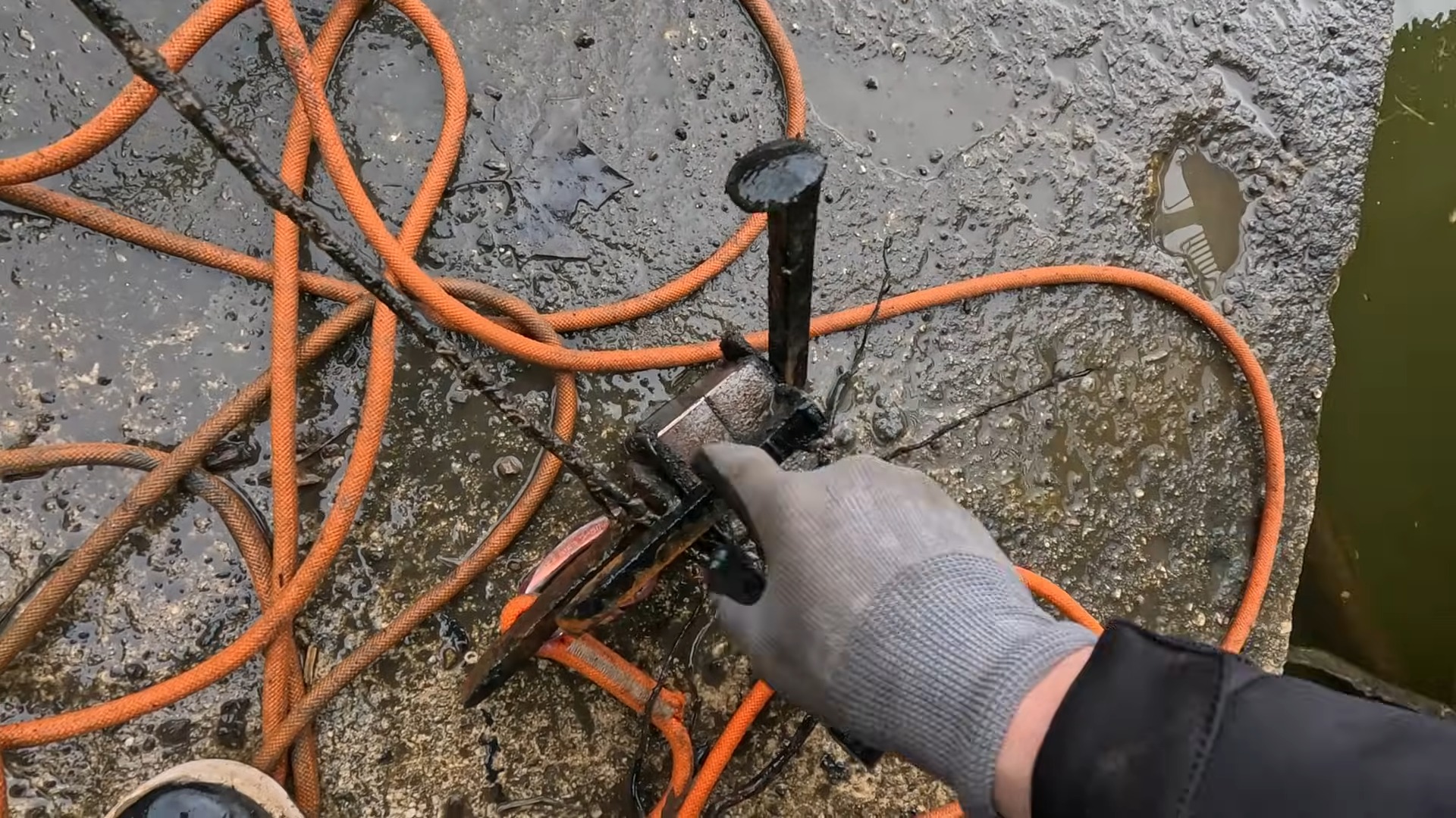 What happens when you discover something you weren’t meant to