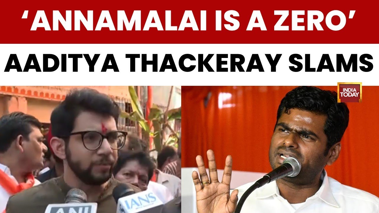 Sena UBT leader slams Annamalai: 'Maharashtra won't tolerate this insult'