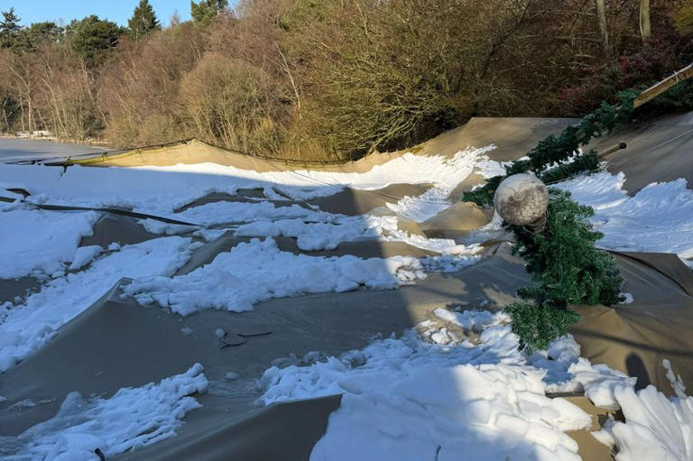 Sutton Coldfield restaurant forced to shut for days as dining area ...