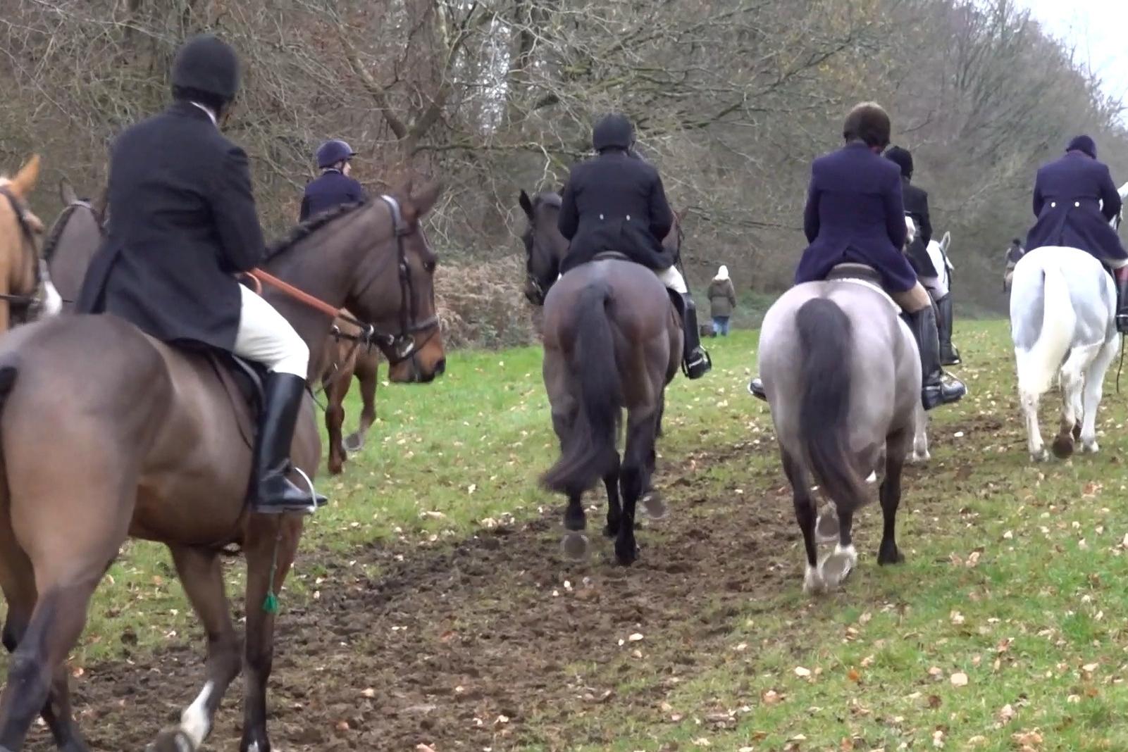 A ban on trail hunting would not undermine the rural economy like ...