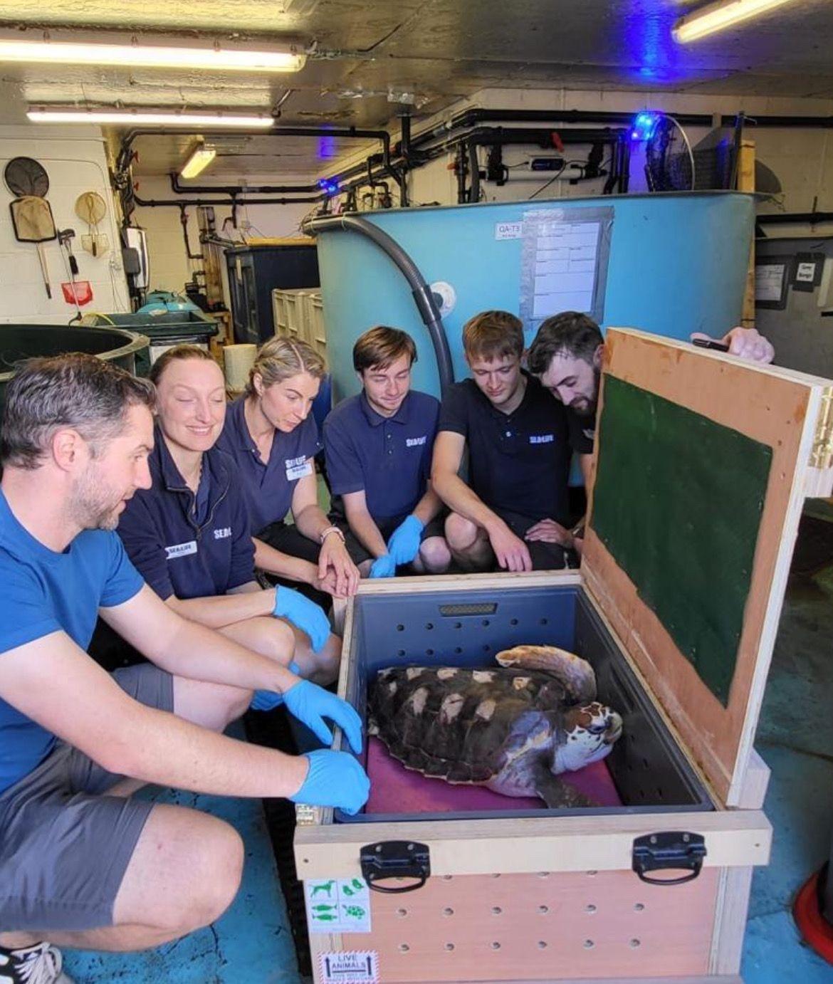 Careers spotlight: Meet Karl, aquarist at SEA LIFE Scarborough