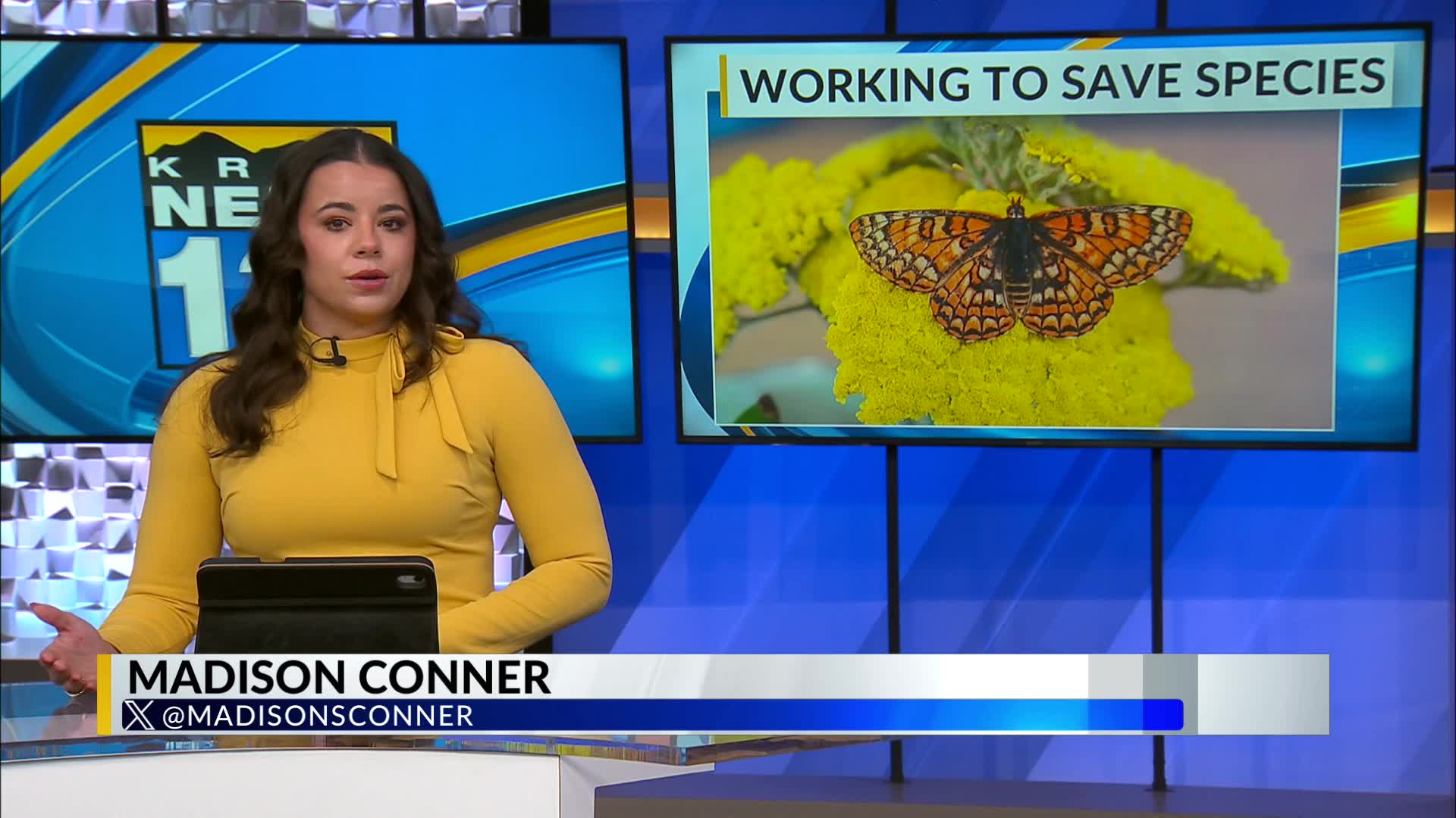 New Mexico BioPark Society's efforts to save endangered checkerspot ...
