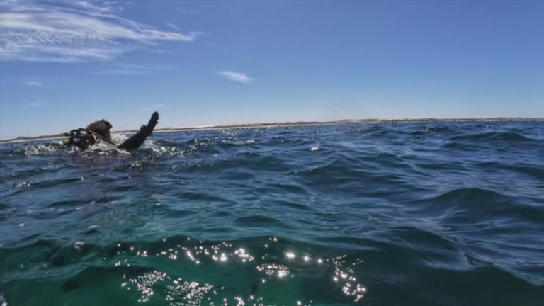 Mates emerge to every 'diver's worst nightmare'