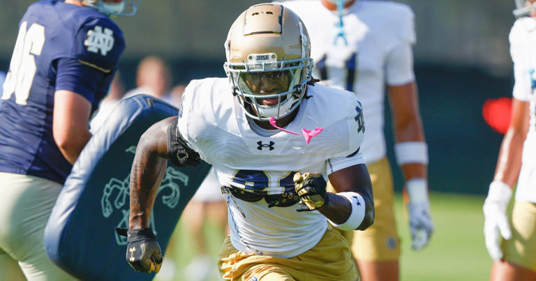 Newsstand: Former Notre Dame safety Taebron Bennie-Powell signs with ...