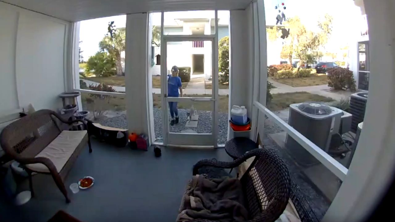 Woman trips over while trying to stop a cat from entering home