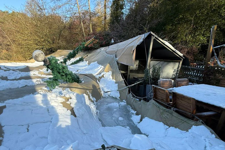 Sutton Coldfield restaurant forced to shut for days as dining area ...