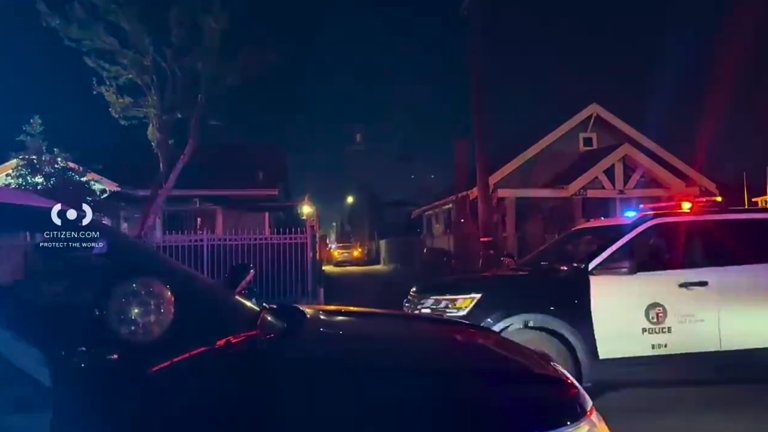 Gunfire in Los Angeles neighborhood leaves man, dog dead