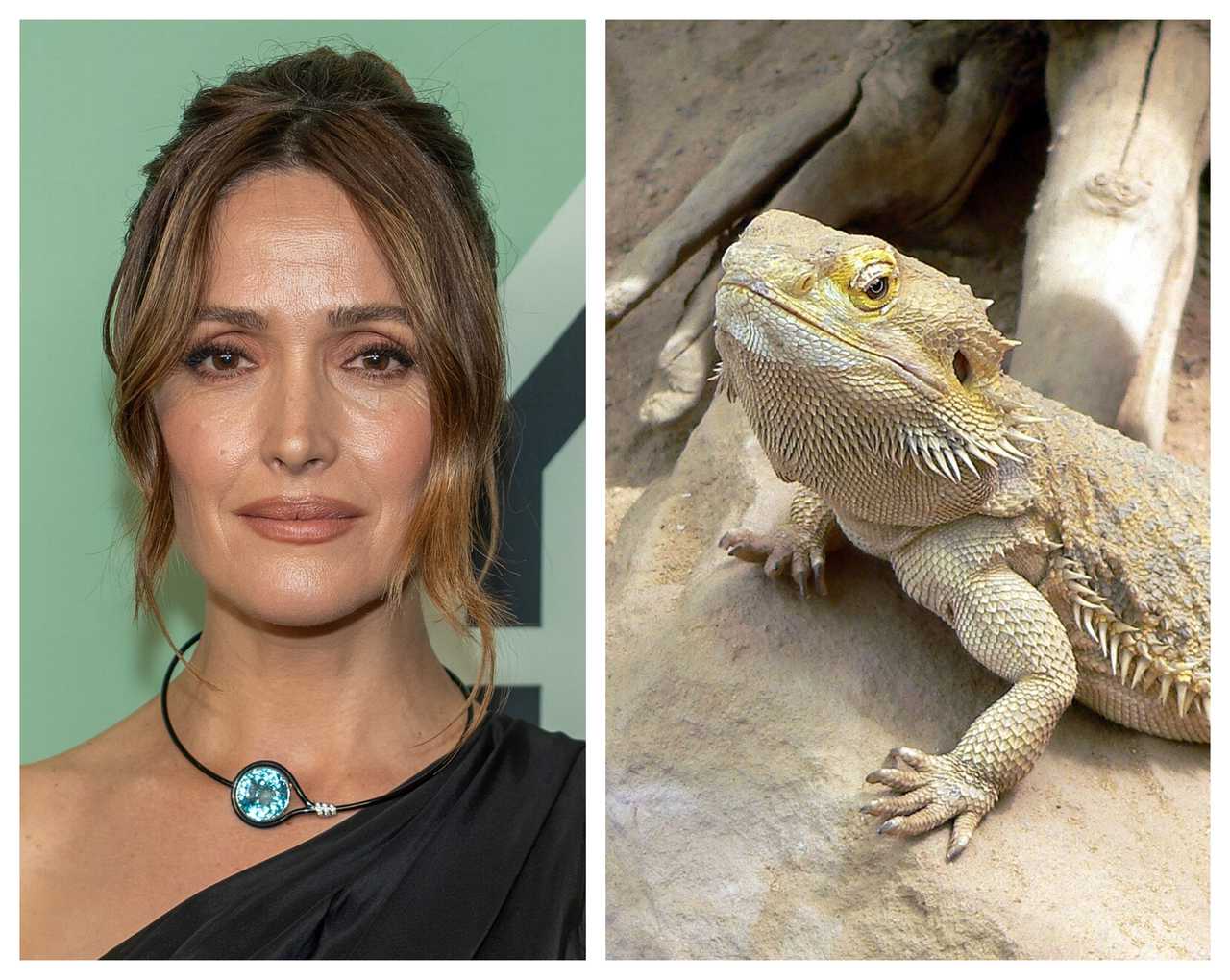 Rose Byrne wins Golden Globe, shouts out Bobby Cannavale for missing ...