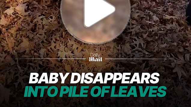Baby vanishes into pile of leaves during playtime