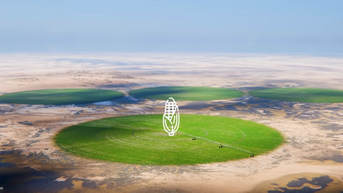 “It’s a military project” - This is why Egypt is flooding the desert