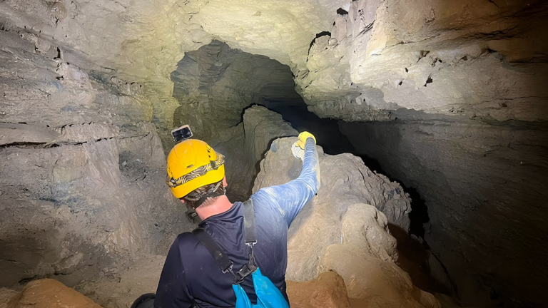 57,000-year-old cave secret ruled non-human after analysis of 50 ...