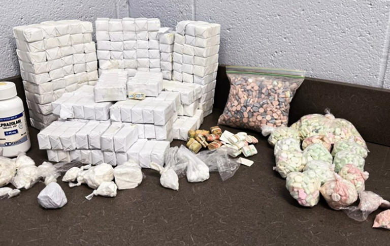 Photos: Fentanyl, heroin, cocaine, ecstasy, guns seized in North ...