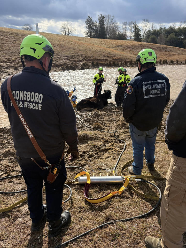 Crews team up to rescue cow stuck in muddy pond
