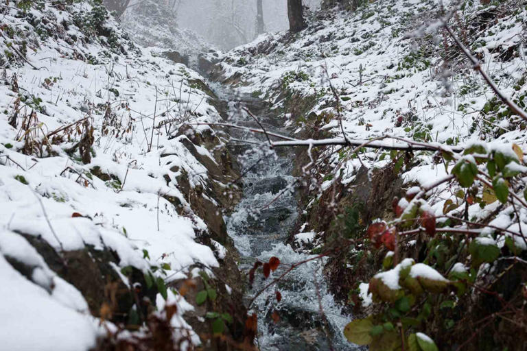 Beyaz örtü Sapanca Gölü’nü besleyen derelere can oldu