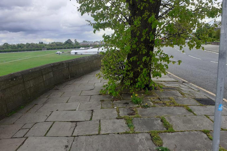 Chester city centre road to close for 12 weeks as paving works to start