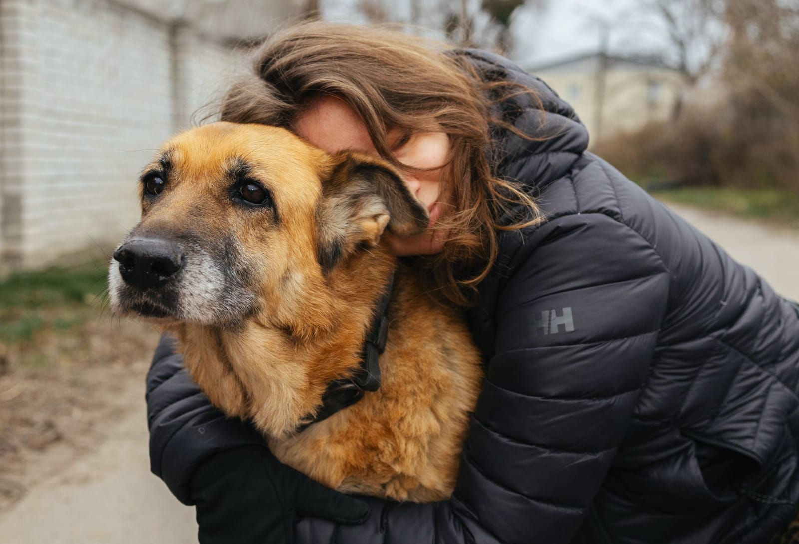 ‘They don't know it's the sound of war’ — how Ukraine's pets react to ...