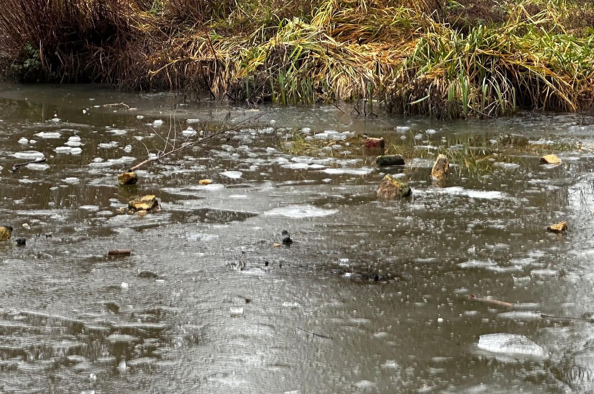 'No respect' - Broken glass and litter spark concern at Midhurst’s ...