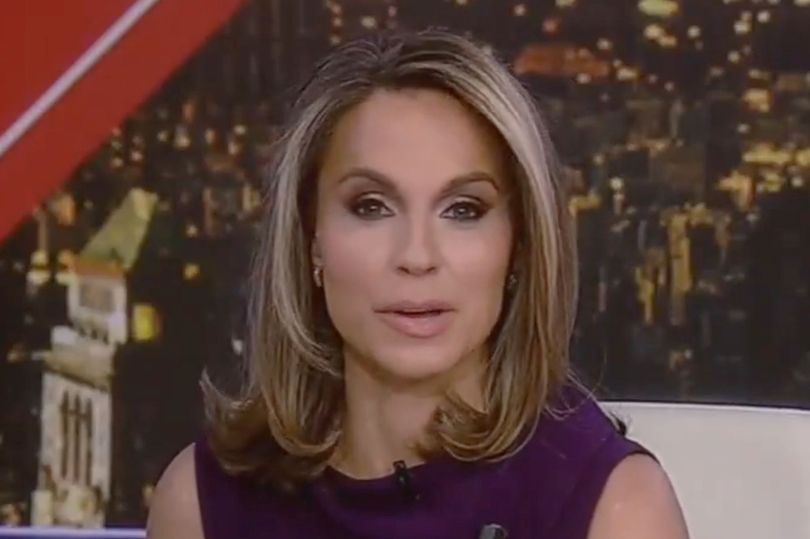 Fox News viewers fume 'she's so dumb' as 'insufferable' guest makes ...