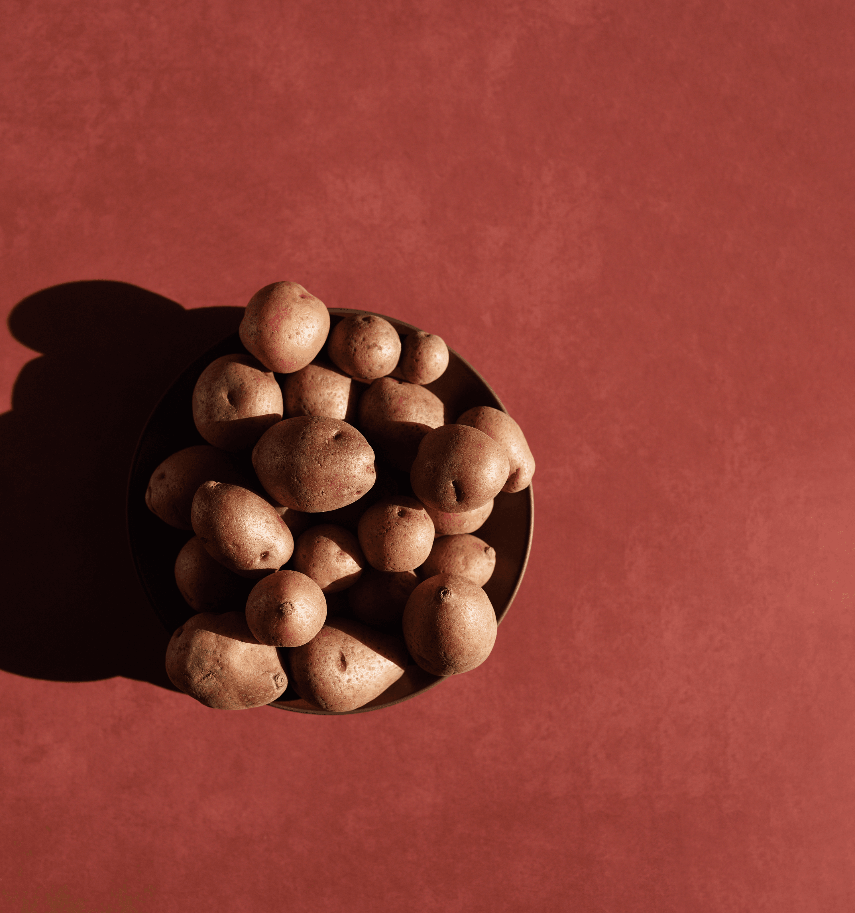 10 foods high in magnesium for better sleep and bone strength