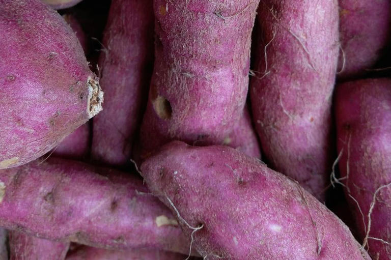 Giant potato wedged in bloke's bum leaves doctors baffled